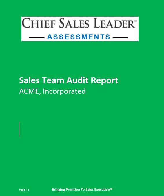 Assessments - Report - Uncomfortable Leader